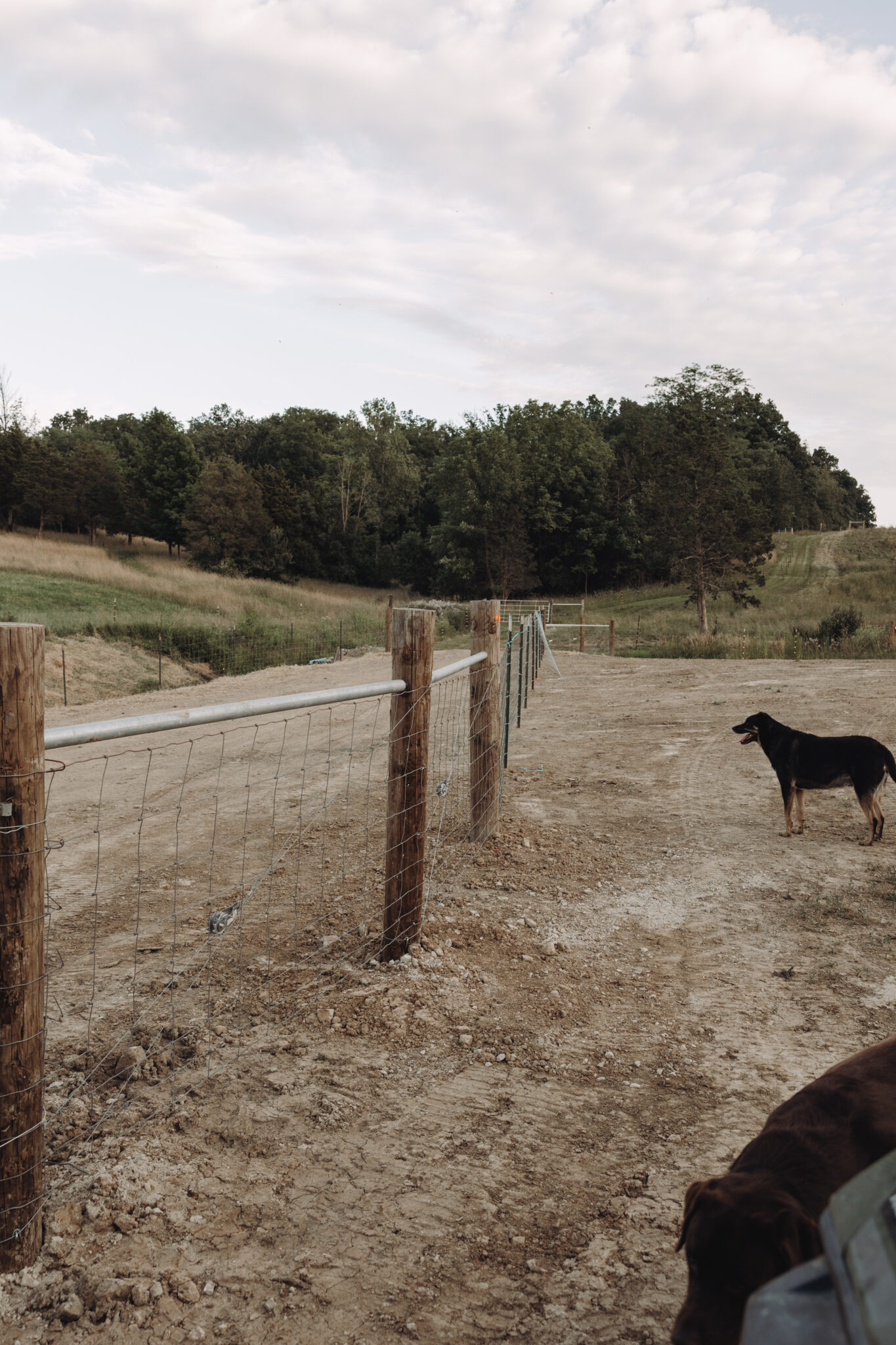 The Allen farmhouse has officially landed! - allenfarmsohio.com