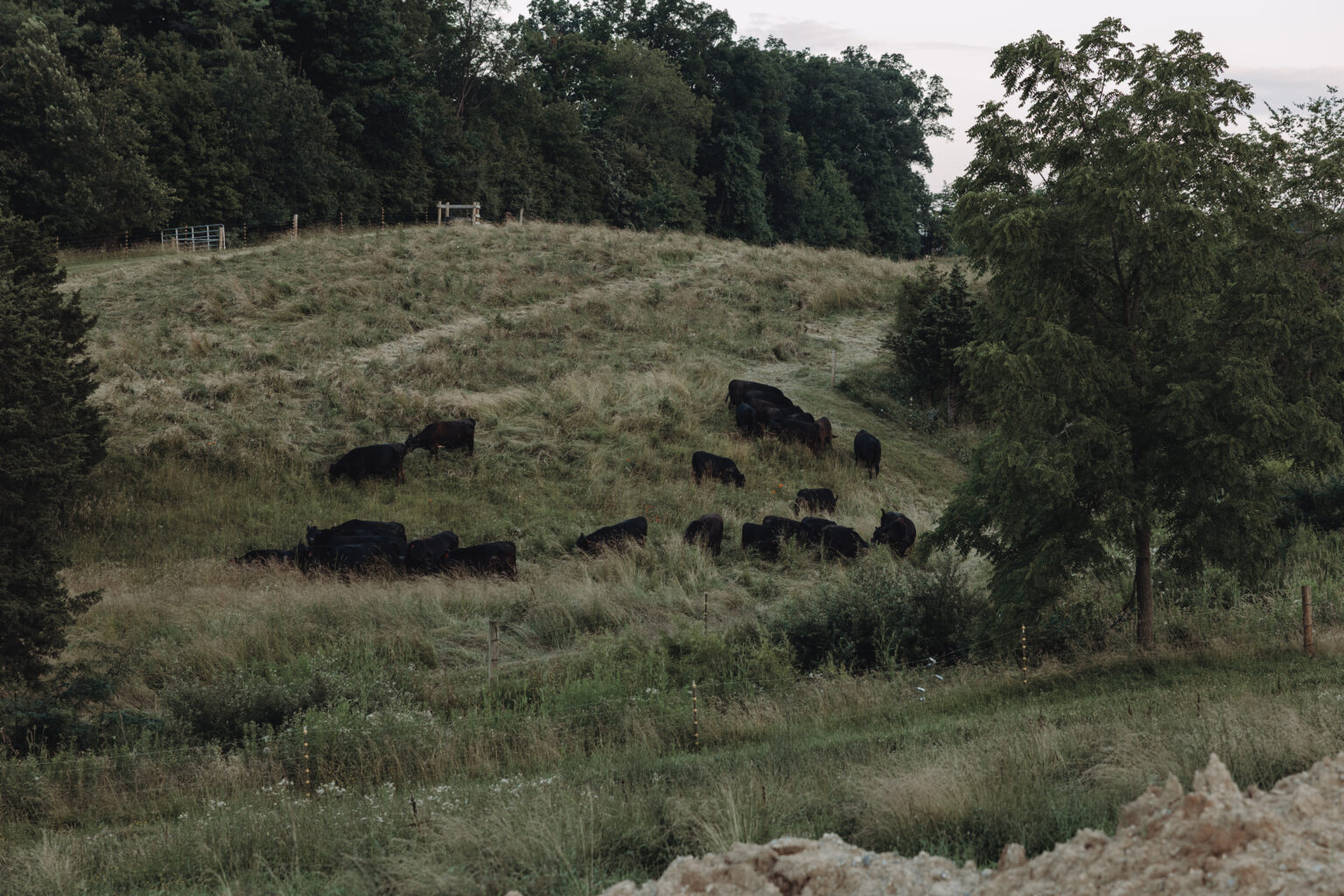 The Allen farmhouse has officially landed! - allenfarmsohio.com